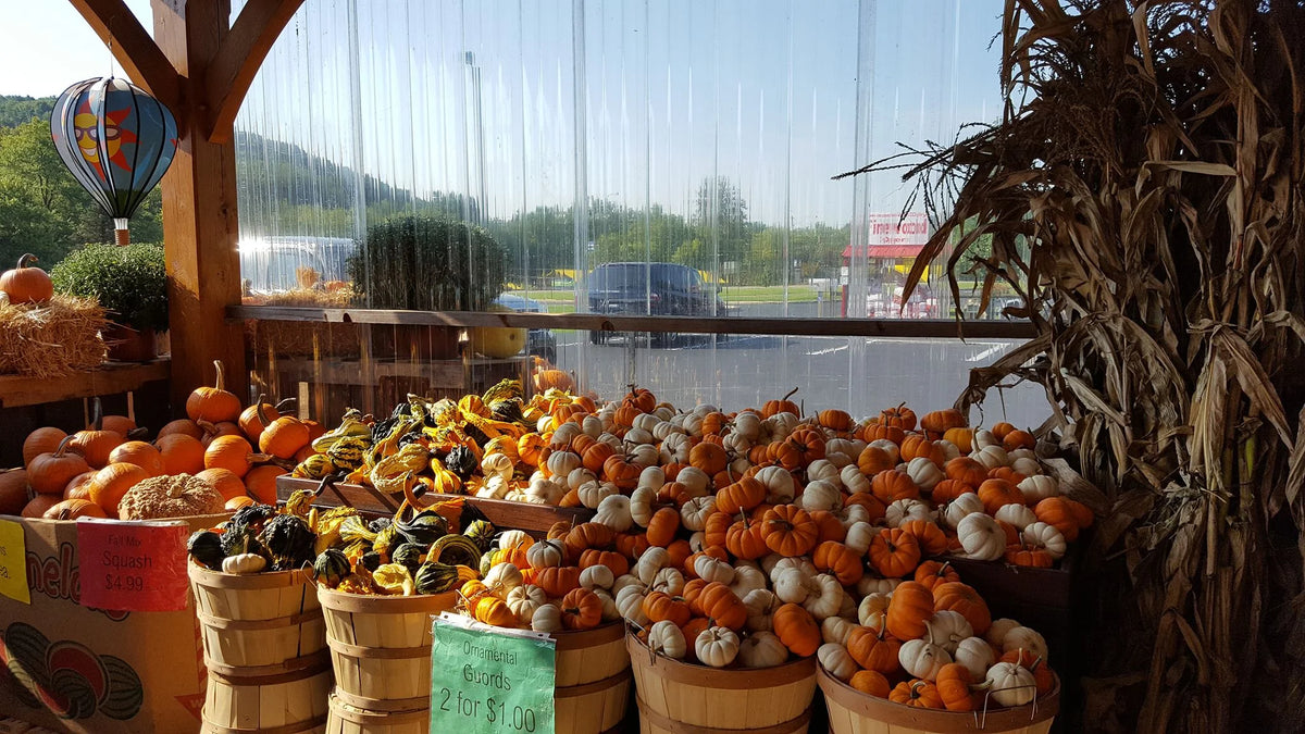 Mohican Country Market: Your Gateway to Amish Country in Loudonville